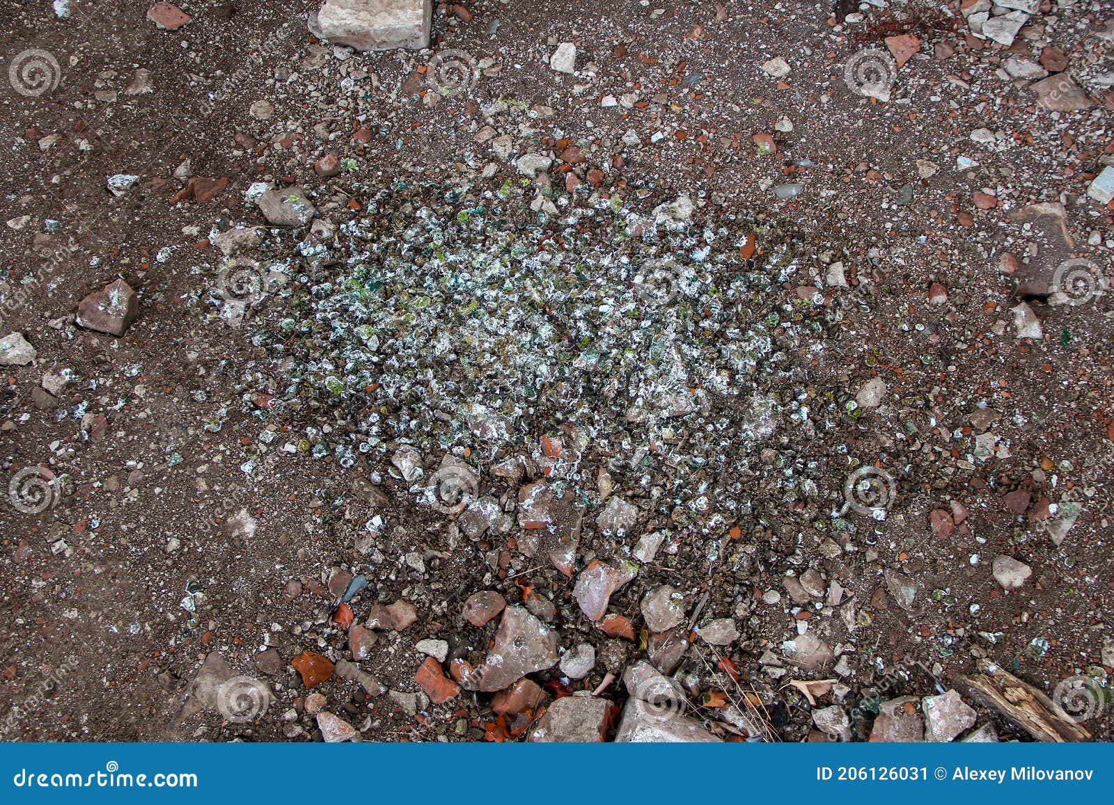 Lot of Bird Droppings on the Ground Stock Image - Image of bird, messy ...