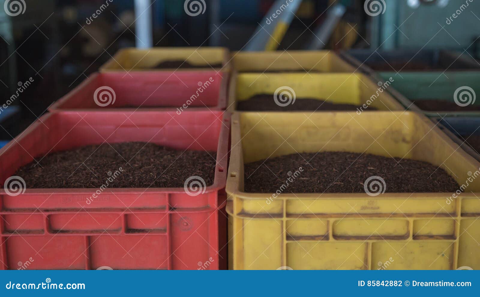 A Lot of Boxes of Black Tea in the Tea Factory Warehouse. Stock Photo ...