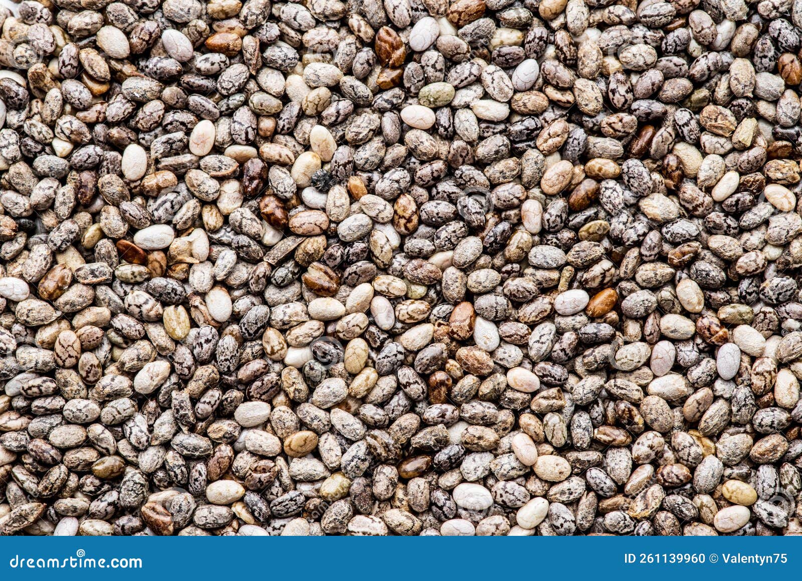Lot of Chia Seeds. Food Background Stock Photo - Image of large, novel ...