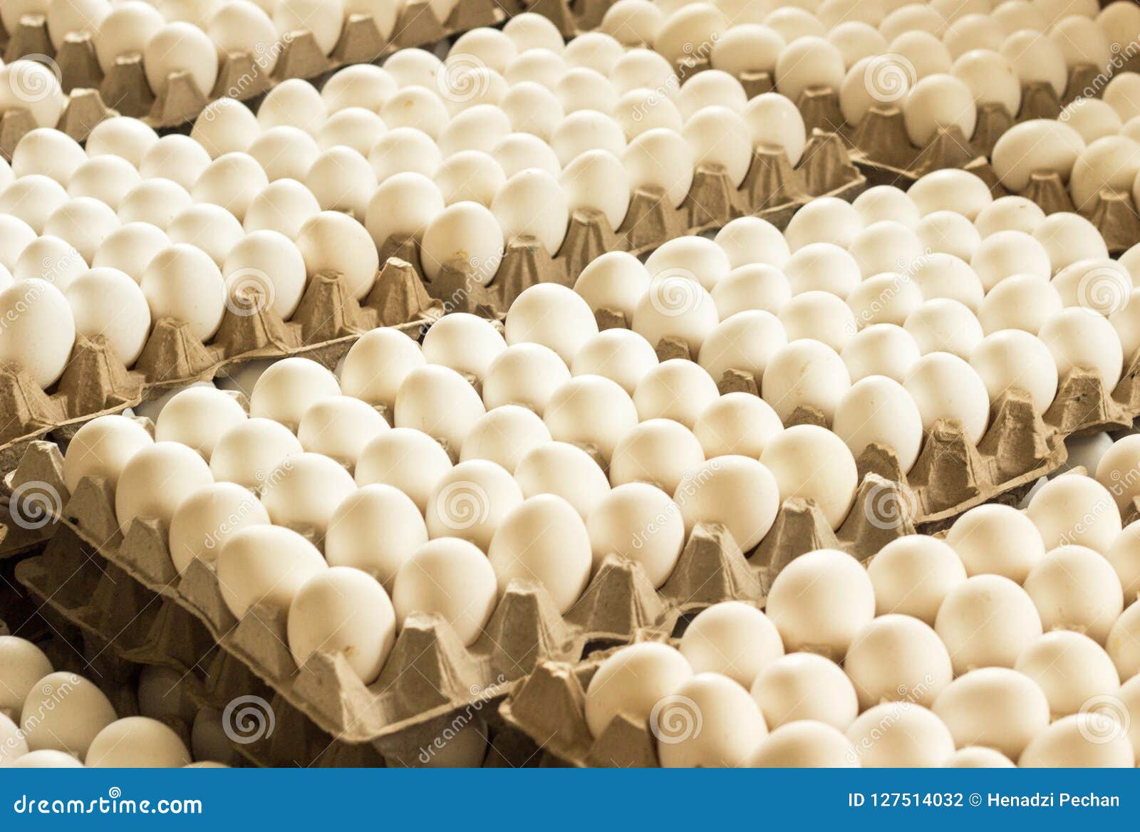 A Lot of Chicken Eggs in the Trays, Sorting of Chicken Eggs, Food Stock ...