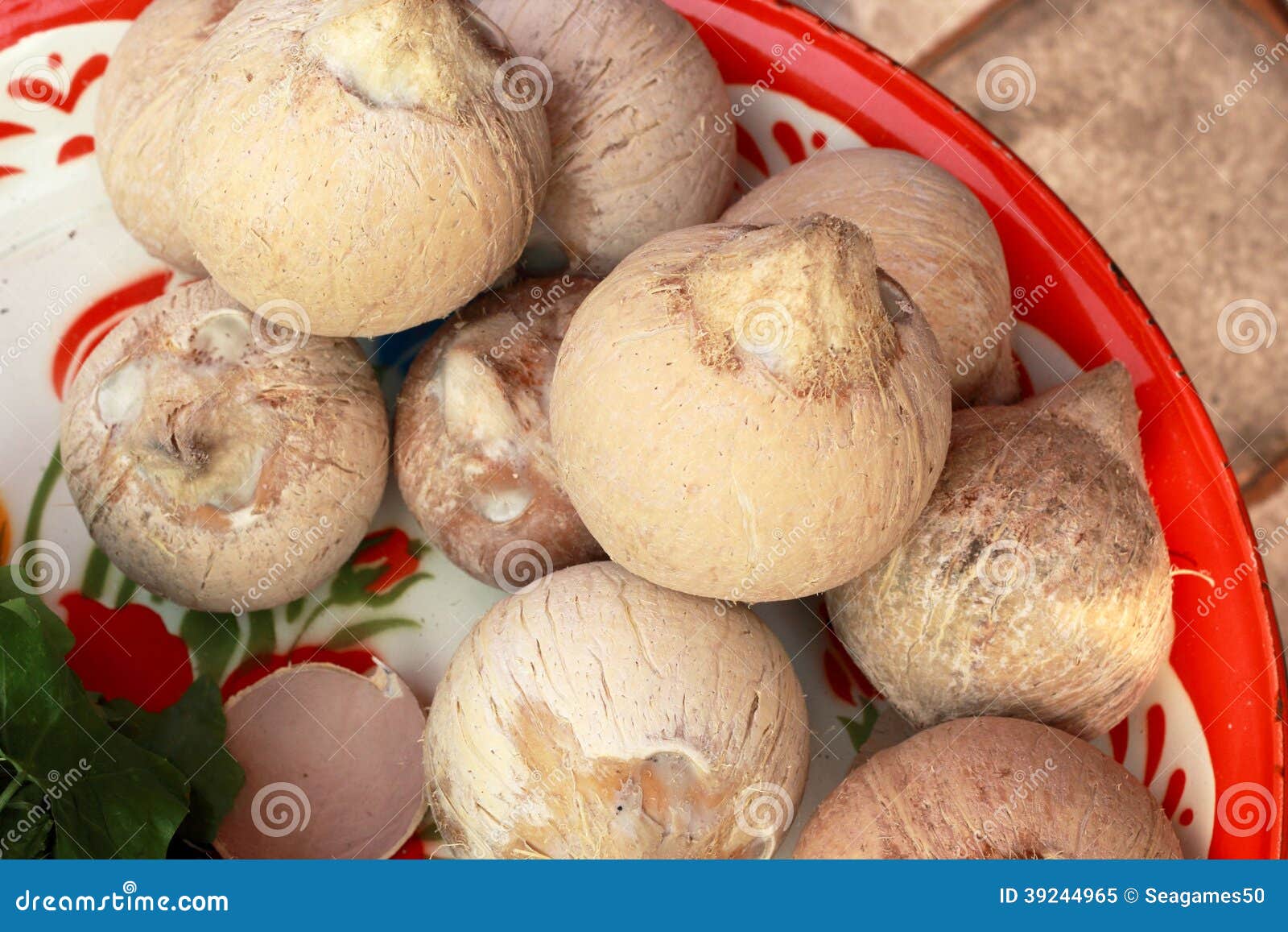A Lot of Coconut in the Market Stock Image - Image of sweet, plant ...