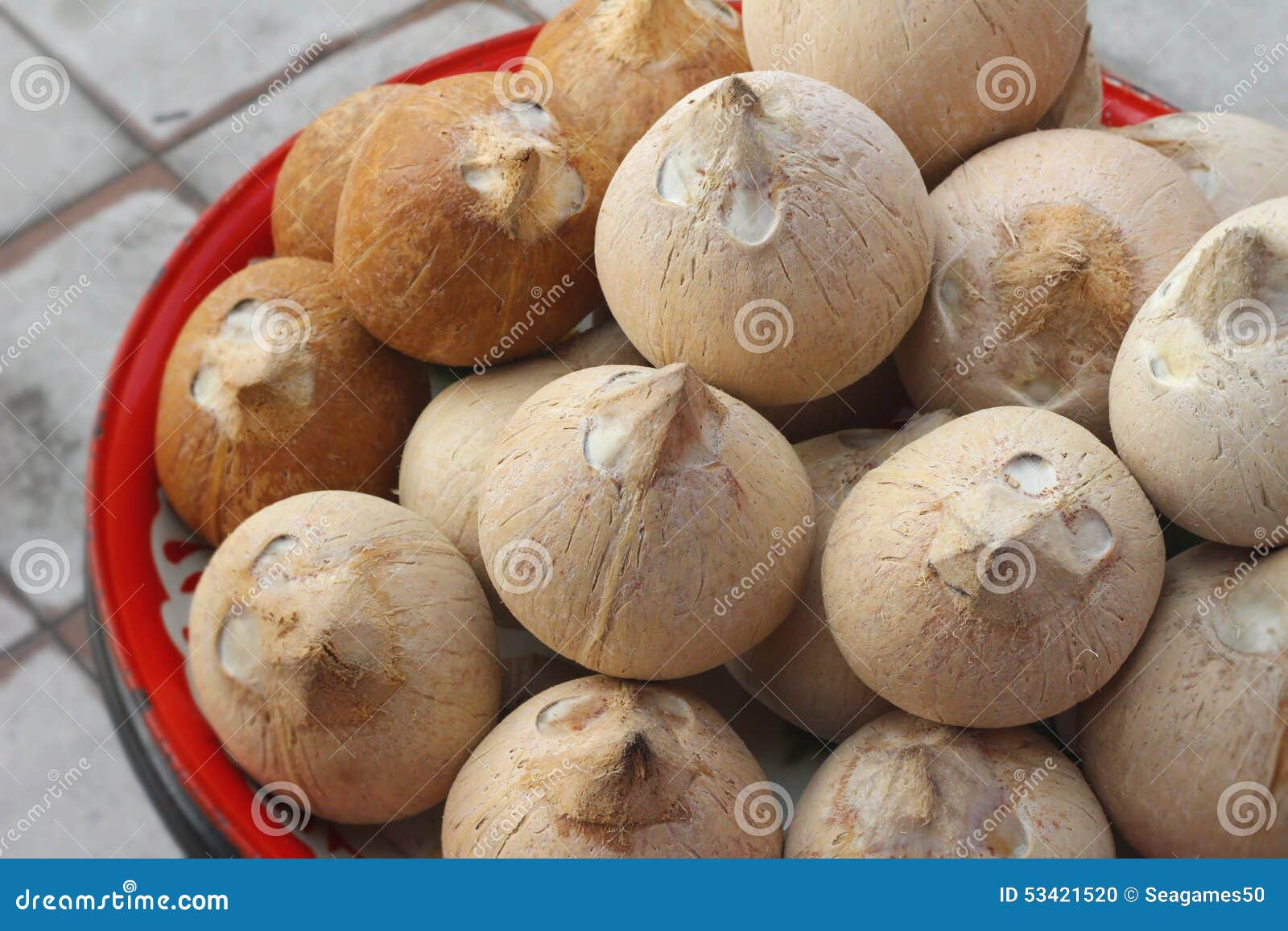 A Lot of Coconut in the Market Stock Photo - Image of fresh, tropic ...