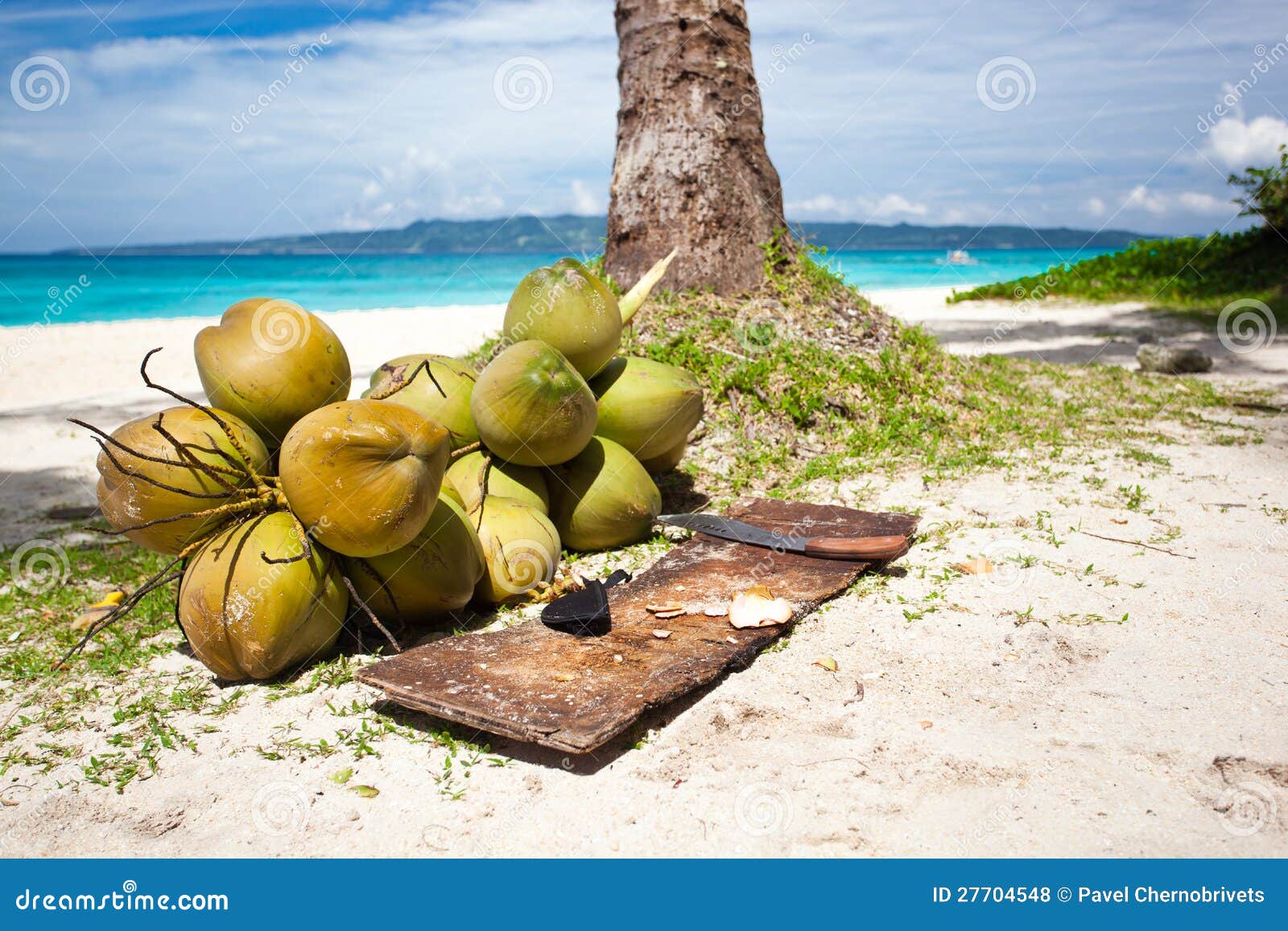 A lot of Coconuts on beach stock photo. Image of tourism - 27704548