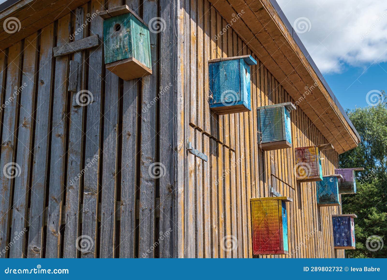 A Lot of Colored Bird Houses on the Boardwalk Wall Stock Photo - Image ...