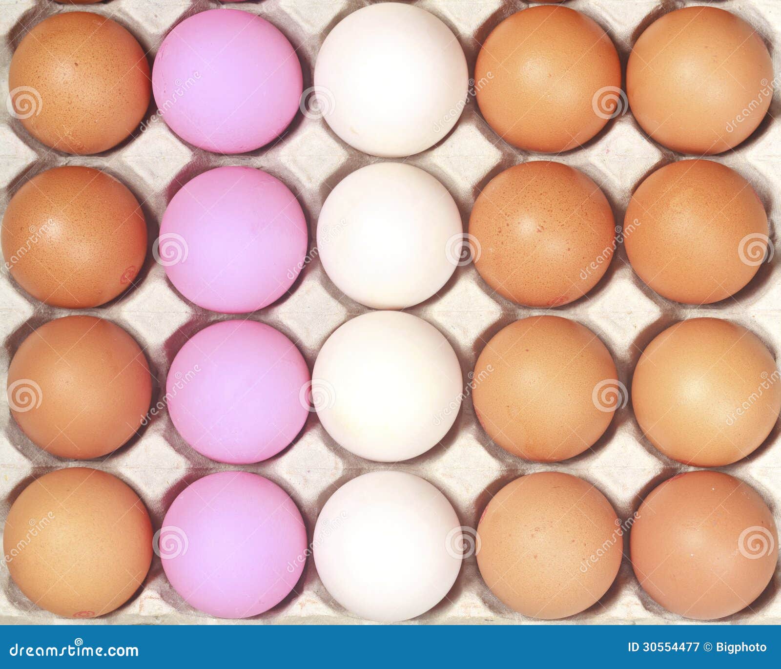 Lot of Colorful Eggs in a Row on a Tray Stock Image - Image of cook ...