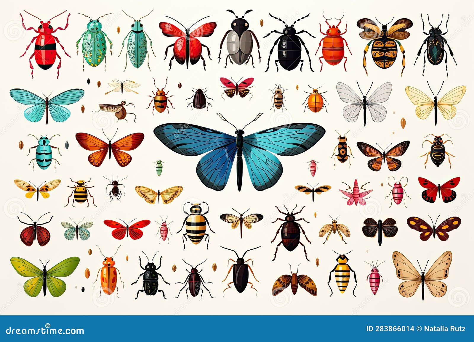 Colorful Insects Vector Biology Collection | CartoonDealer.com #62476375
