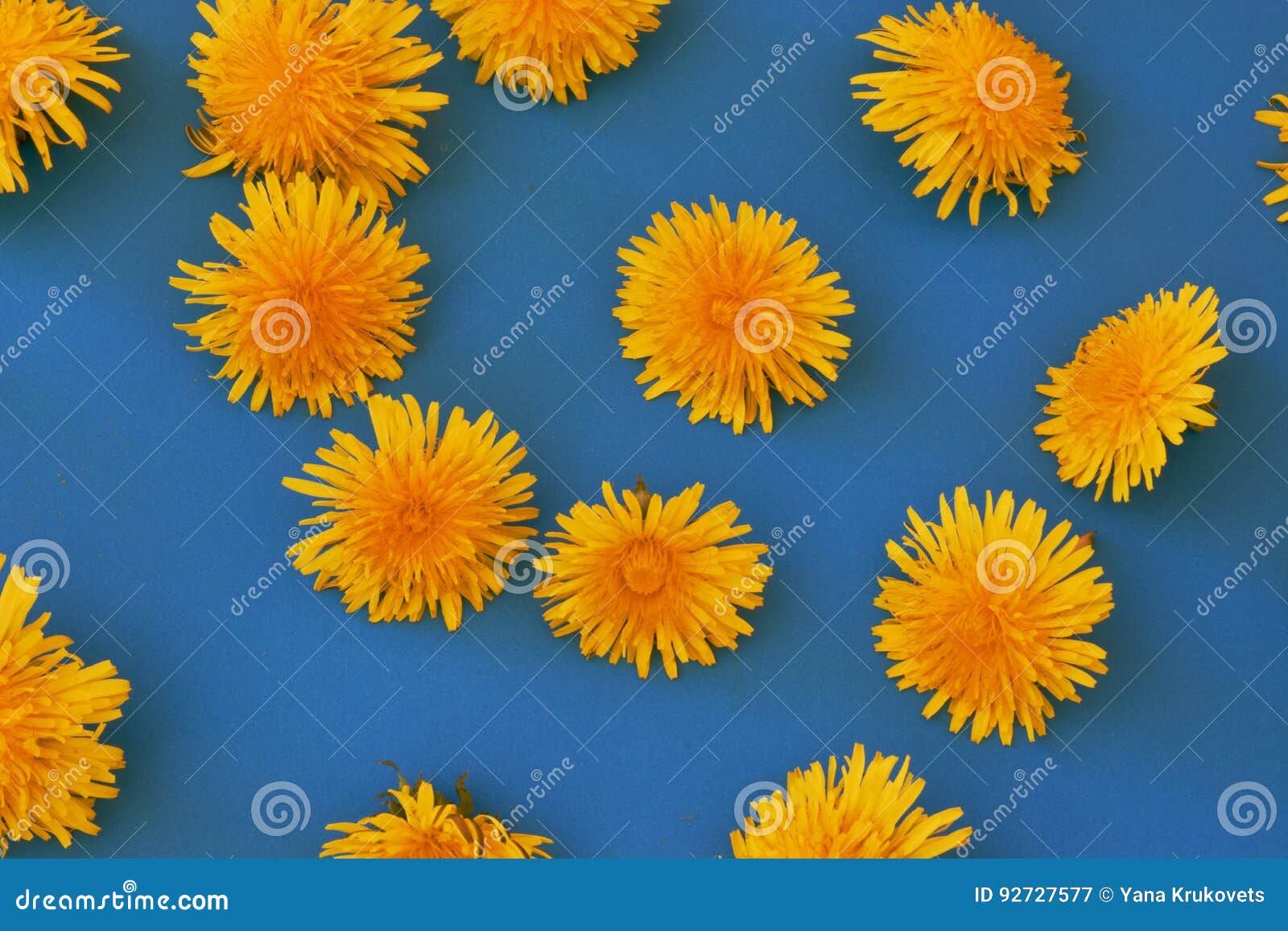 A lot of dandelions stock image. Image of spring, beautiful - 92727577