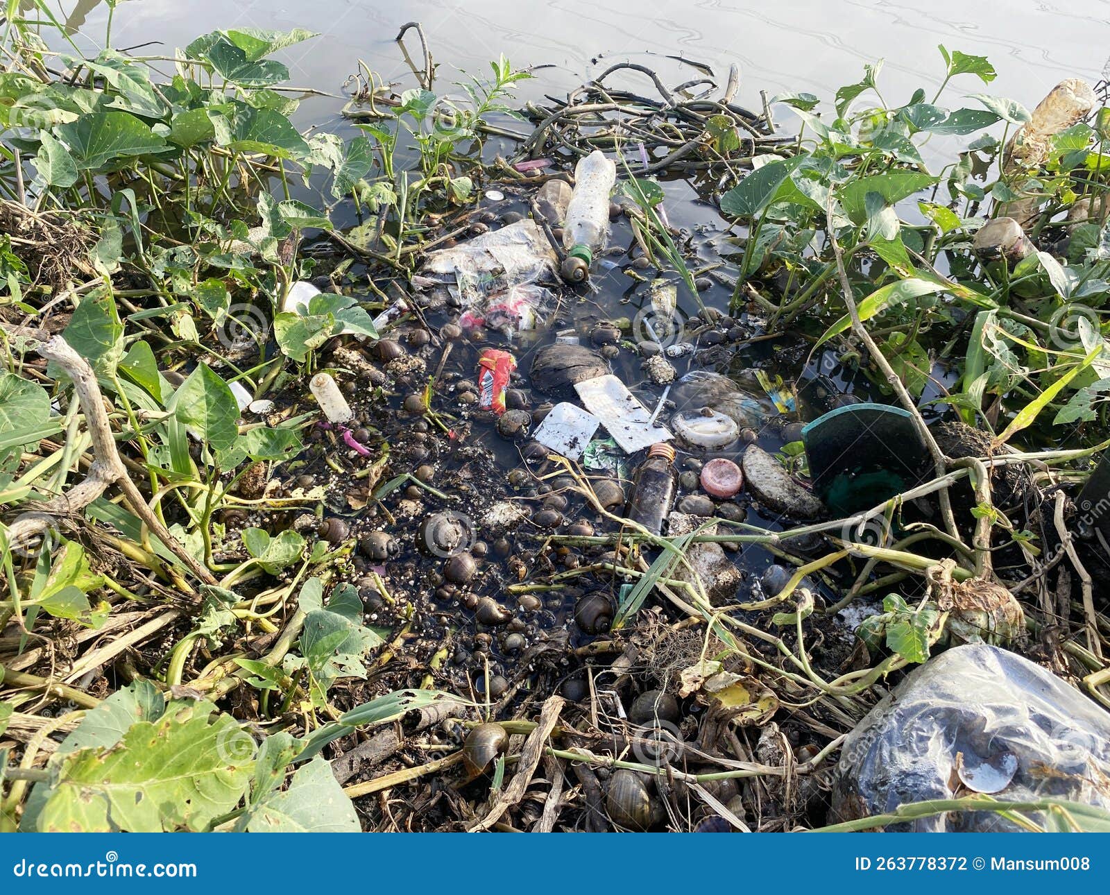 Lot of Different Types of Waste in the Ground Editorial Photography ...