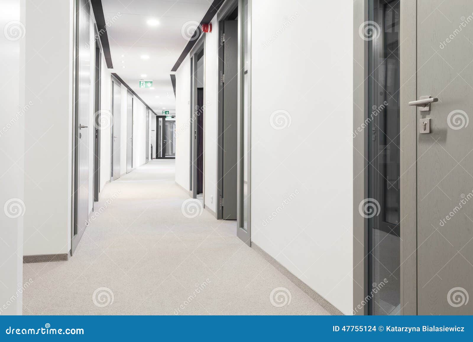 A lot of doors stock photo. Image of elegance, contemporary - 47755124