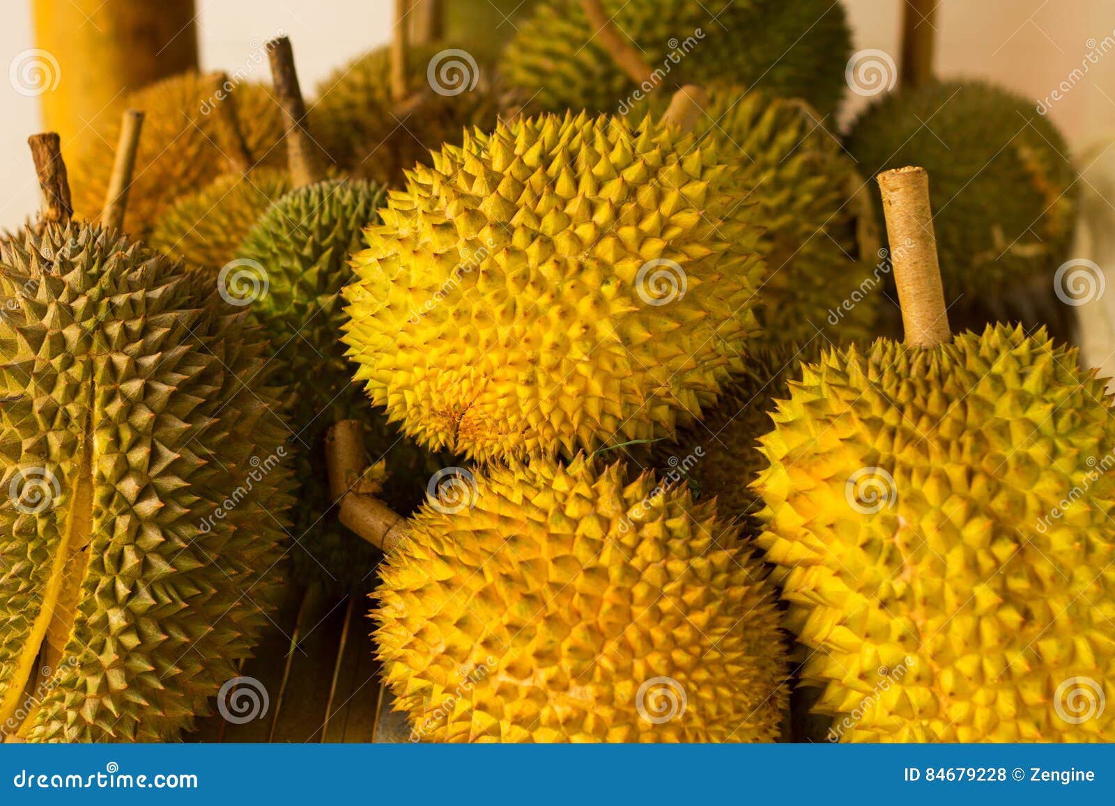 Small Durians Forest Stock Photo | CartoonDealer.com #54445512