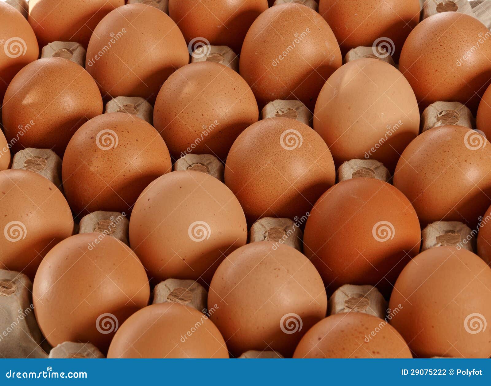 Lot of eggs stock photo. Image of eggs, brown, carton - 29075222