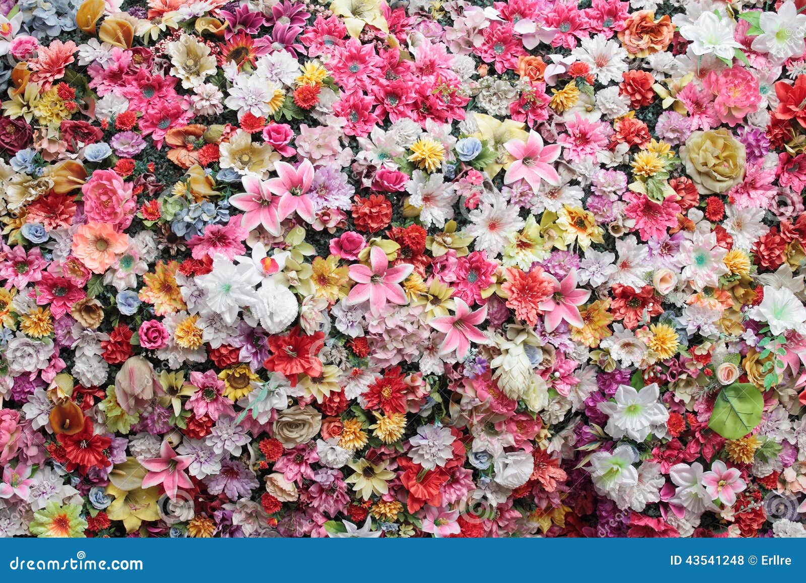 What A Lot Of Flowers at Victoria Mcbrien blog