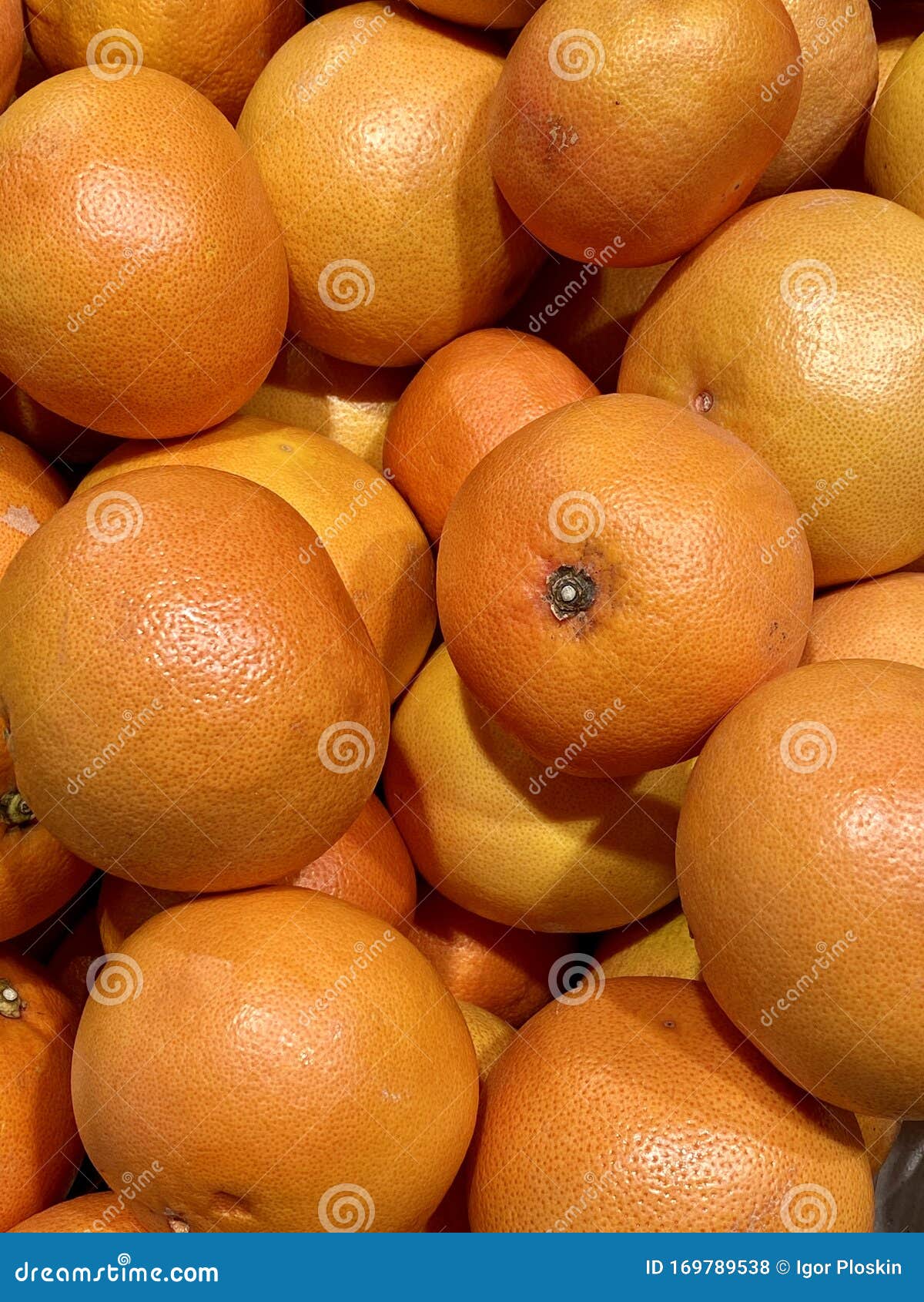 A lot of fresh oranges stock photo. Image of color, freshness - 169789538
