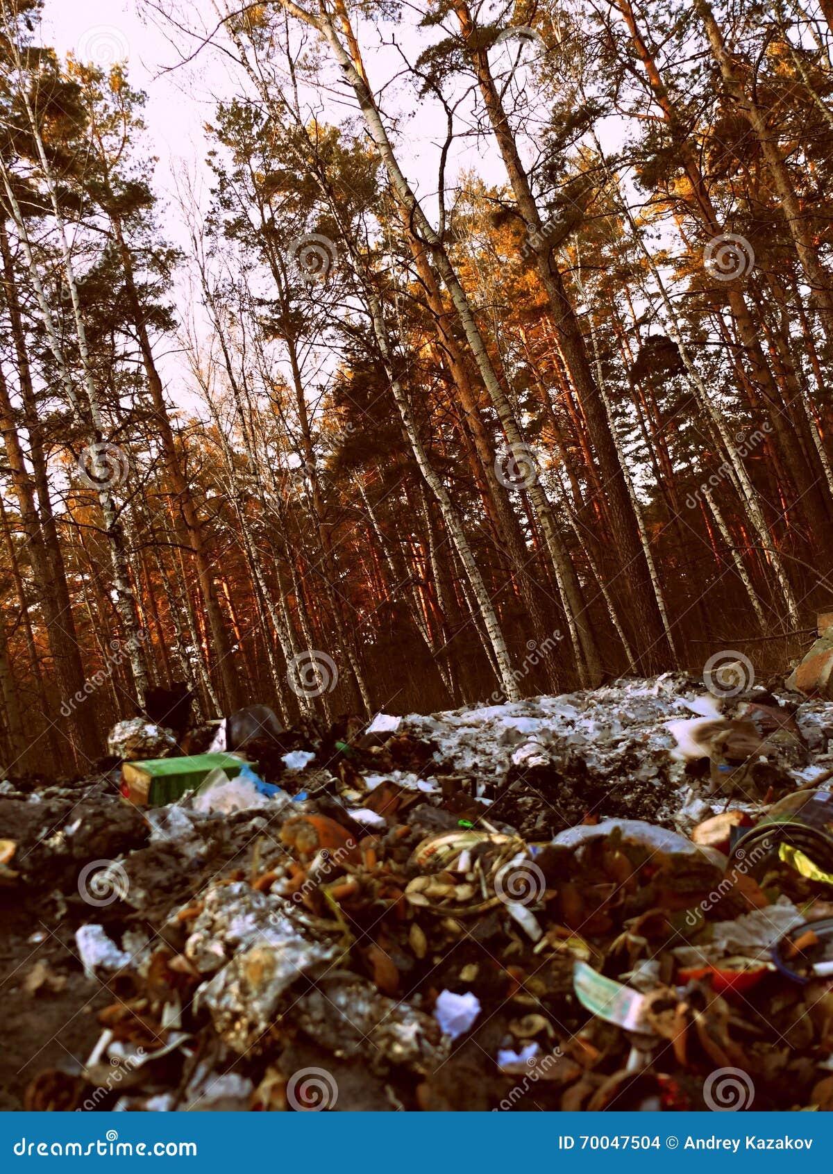 Lot of garbage in nature editorial stock image. Image of plastic - 70047504