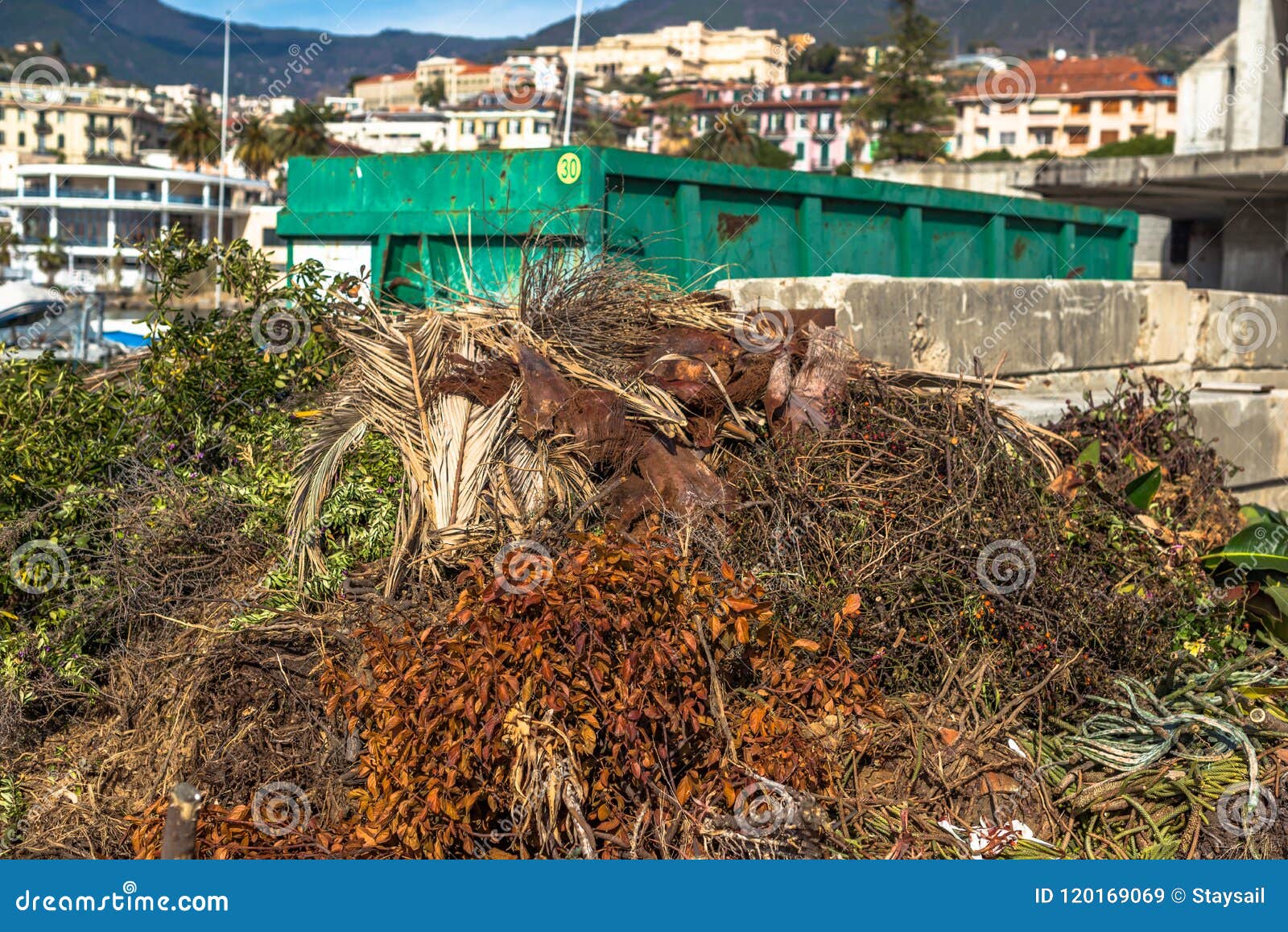 A Lot of Garden Debris and Plant Remains. Stock Image - Image of ...