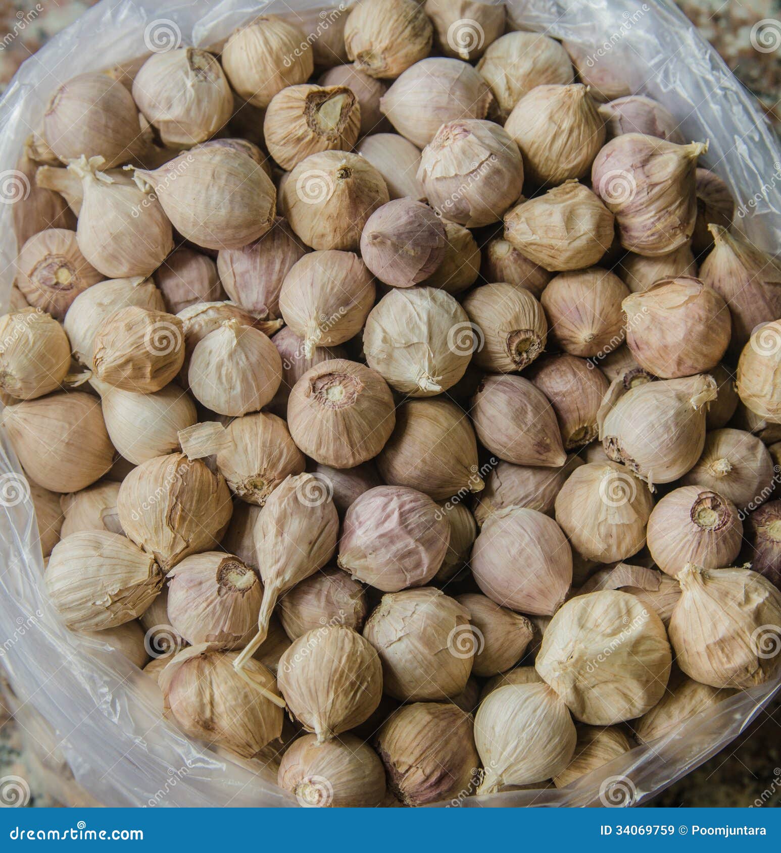 Lot of garlic stock image. Image of ingredient, fresh - 34069759