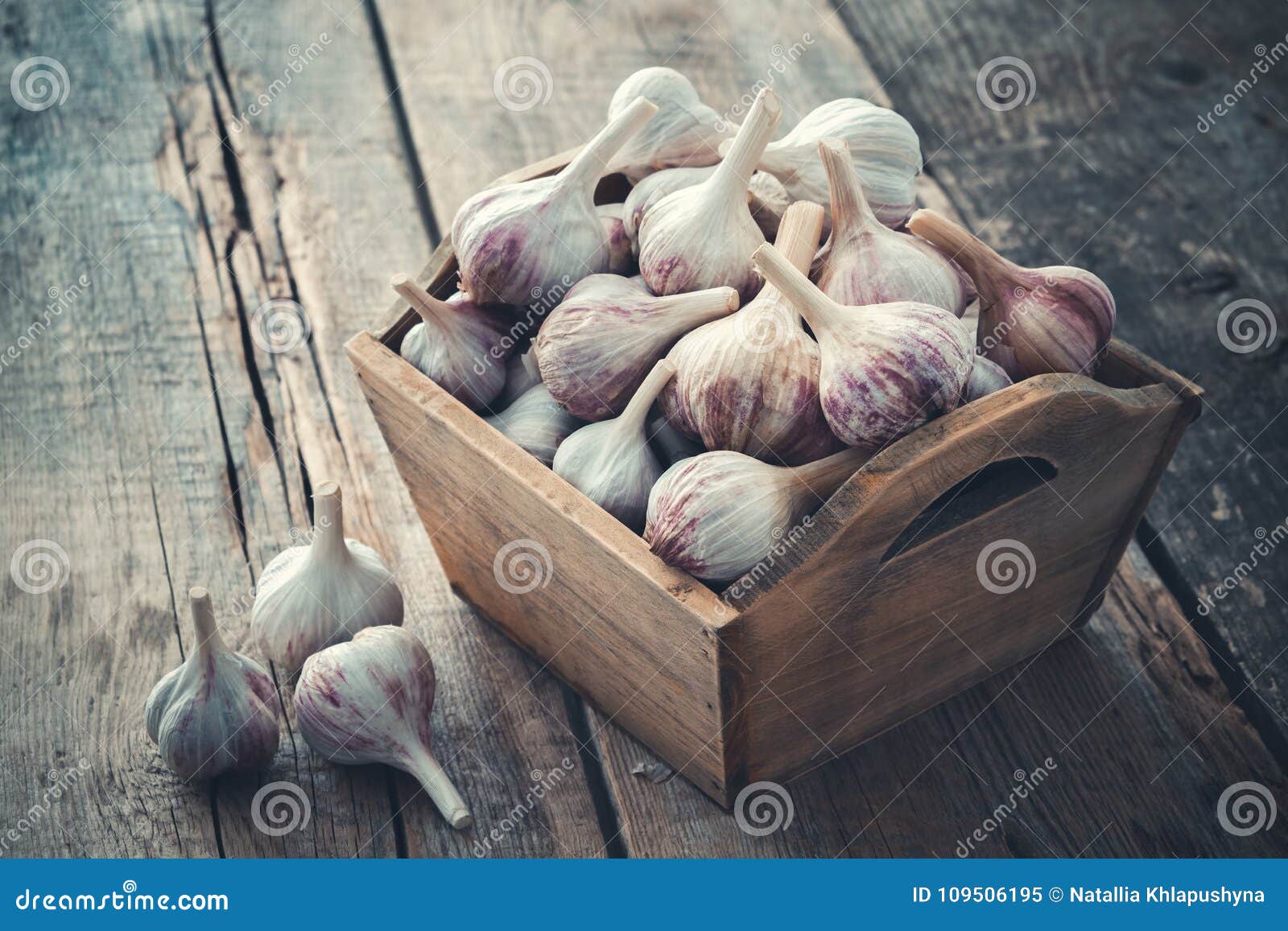 A Lot of Garlic in Wooden Box on Wooden Board. Stock Image - Image of ...