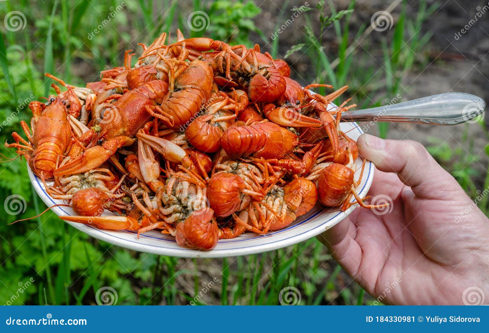 A Lot of Hot Fresh Boiled Red Crawfish Which Lie on the Dish Stock ...