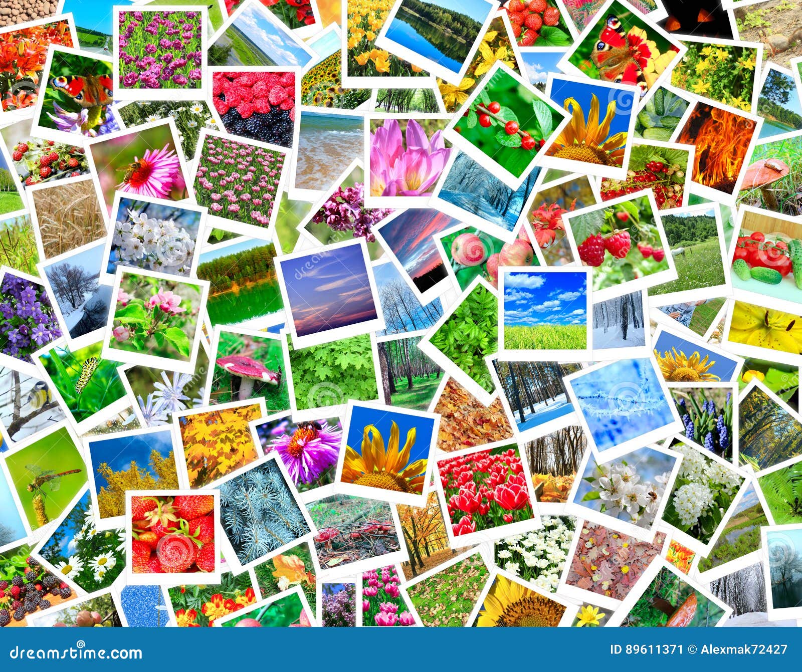 A lot of nature photos stock image. Image of polaroid - 89611371