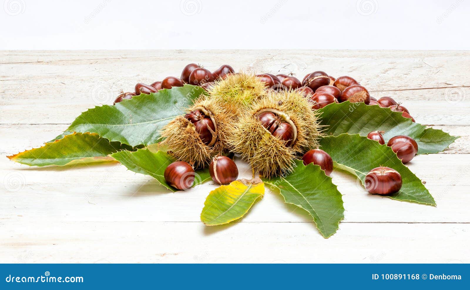 An lot off chestnuts stock photo. Image of chestnut - 100891168