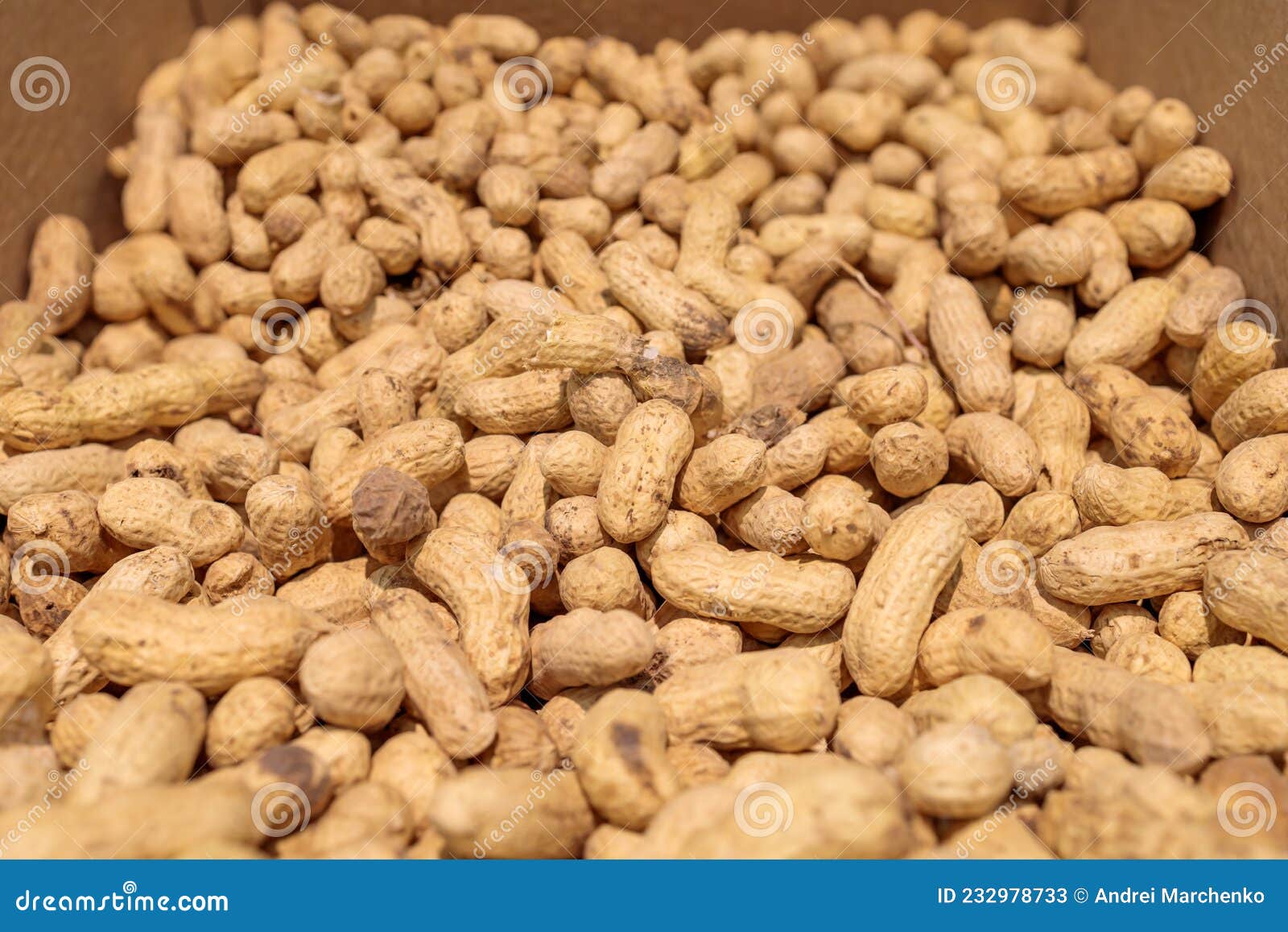 A Lot of Peanut on the Counter of the Store Stock Image - Image of ...