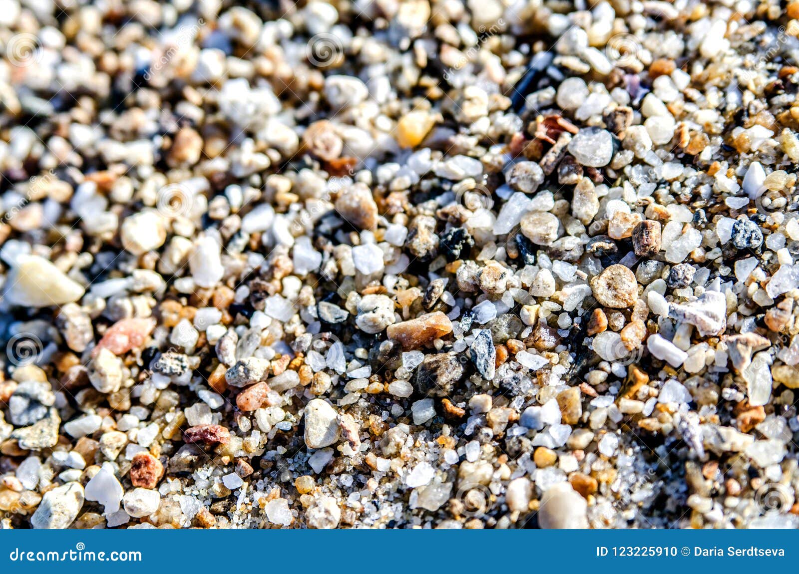 A Lot of Pebbles in the Sand on the Beach. Stock Photo - Image of scene ...
