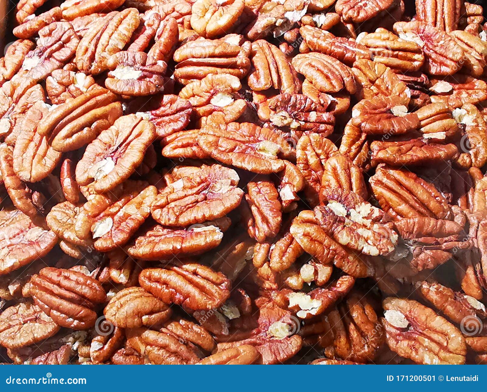 Lot of pecan nuts kernel stock image. Image of diet - 171200501