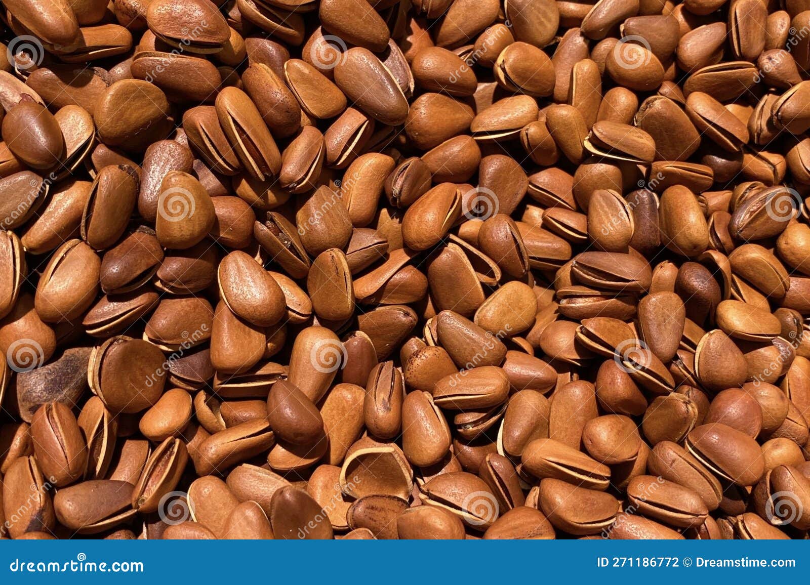 Pine seeds background stock photo. Image of ripe, nutrition - 271186772