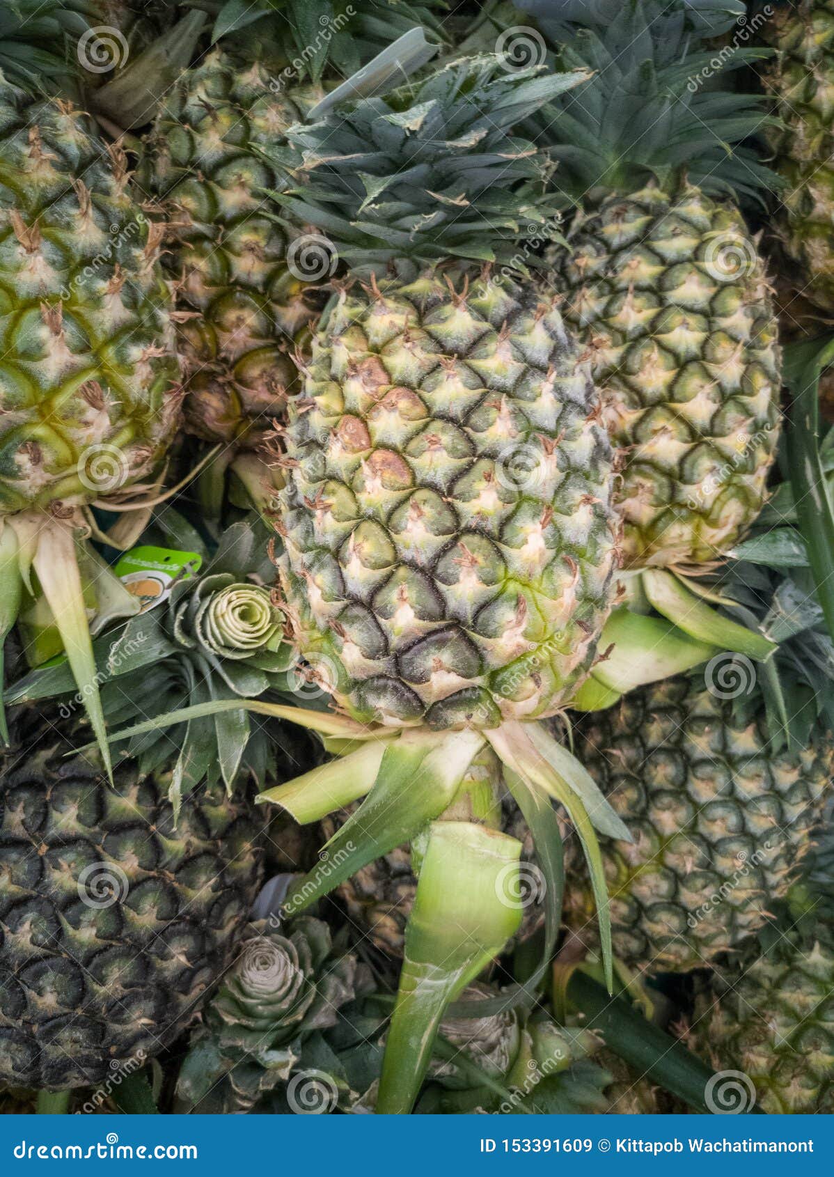 A Lot of Pineapple Piles Up Stock Image - Image of wallpaper, beautiful ...