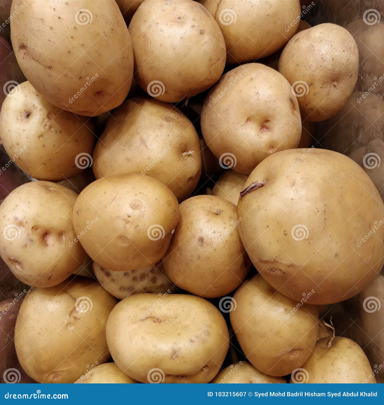 Potatoes stock image. Image of potato, supermarket, round - 103215607