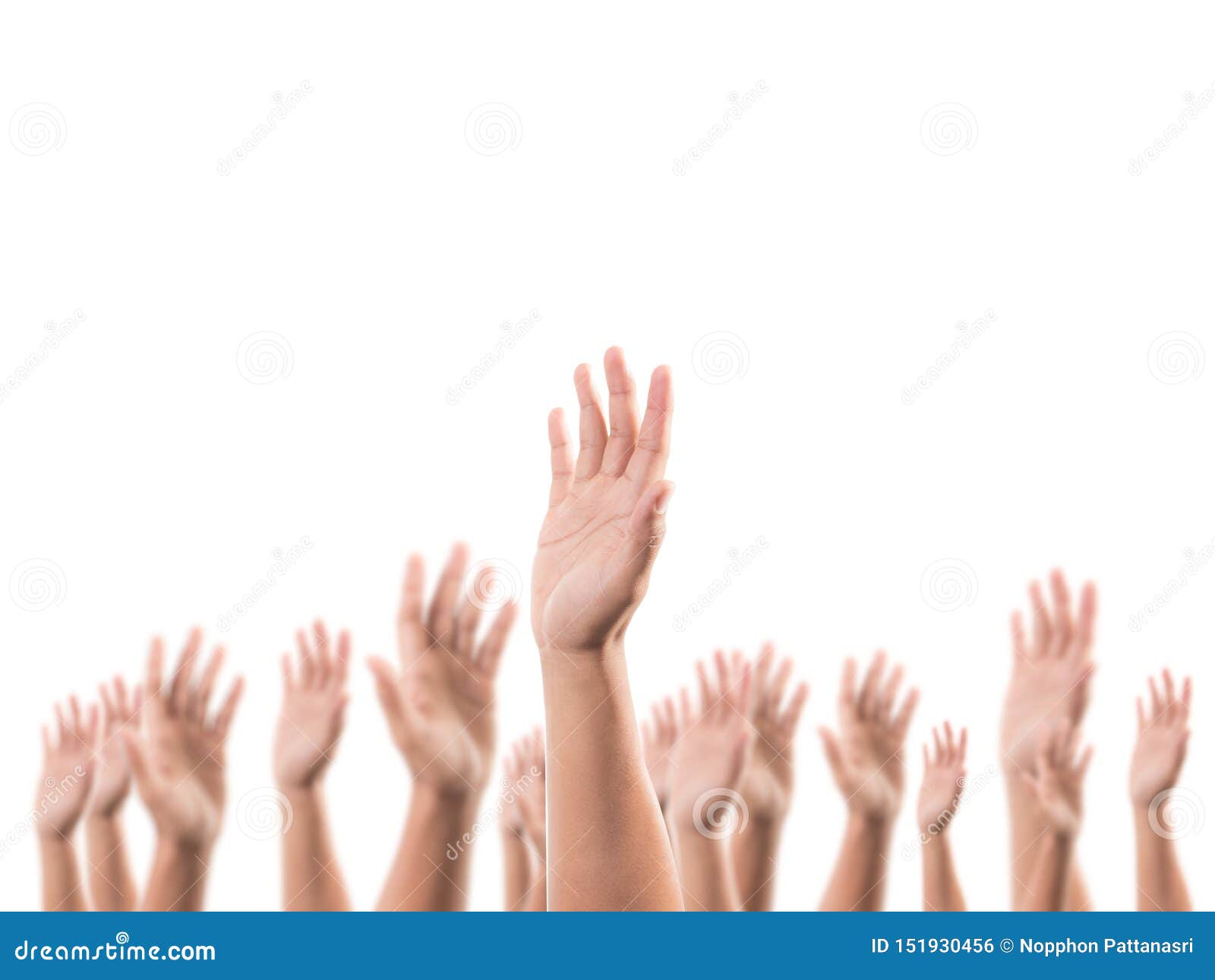 Lot of raising hand stock photo. Image of freedom, campaign - 151930456