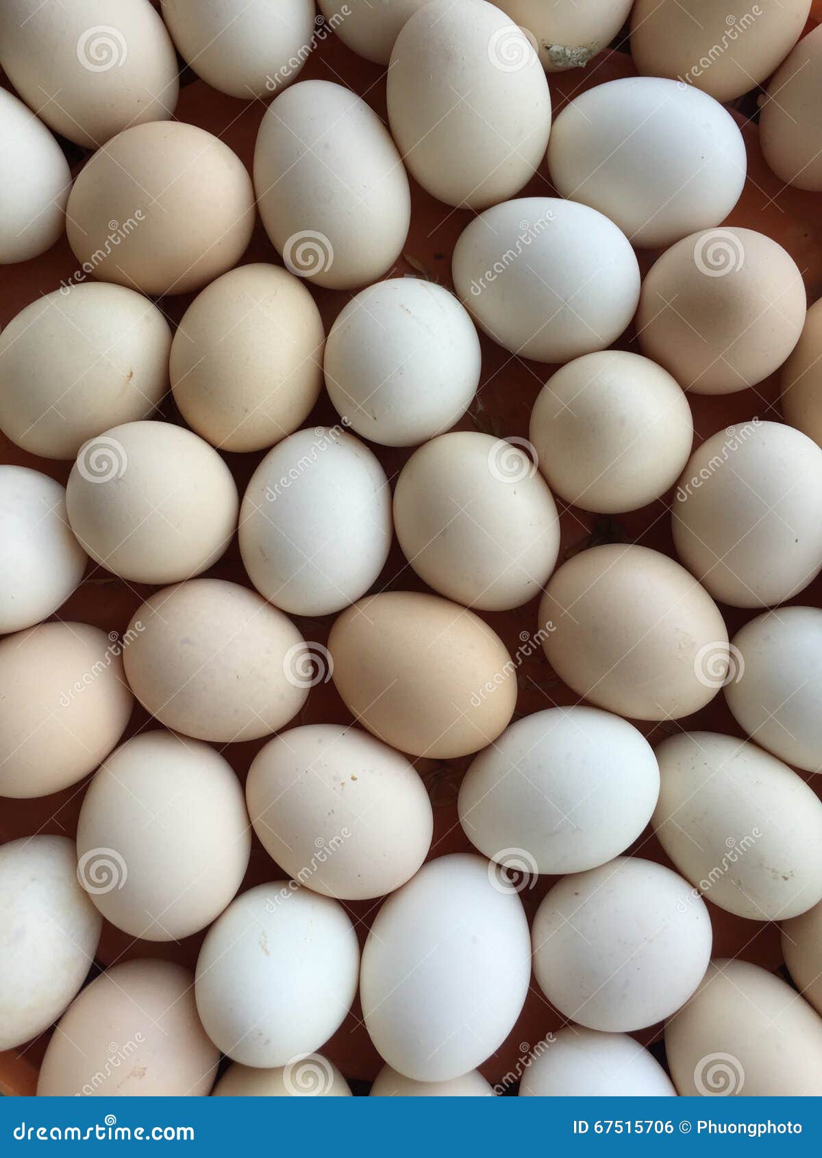 A Lot of Randomly Stacked Chicken Eggs Stock Photo - Image of healthy ...