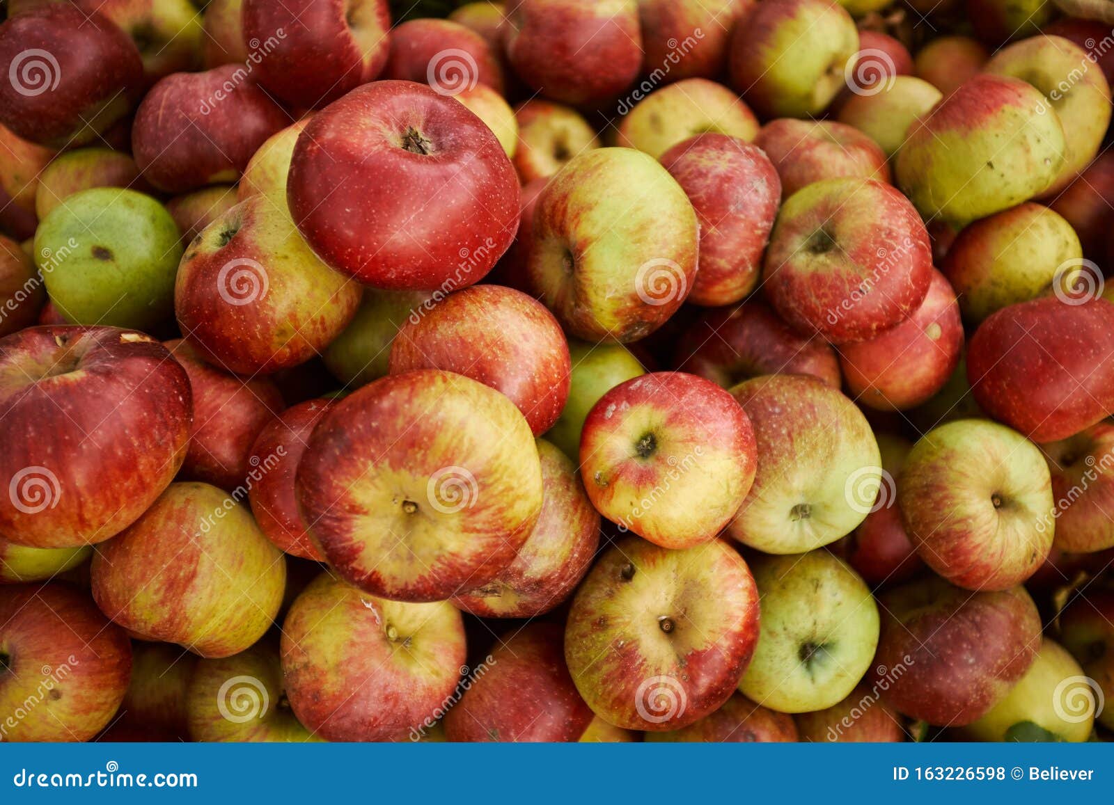 A Lot of Red Apples. Harvesting Stock Photo - Image of nature, apple ...