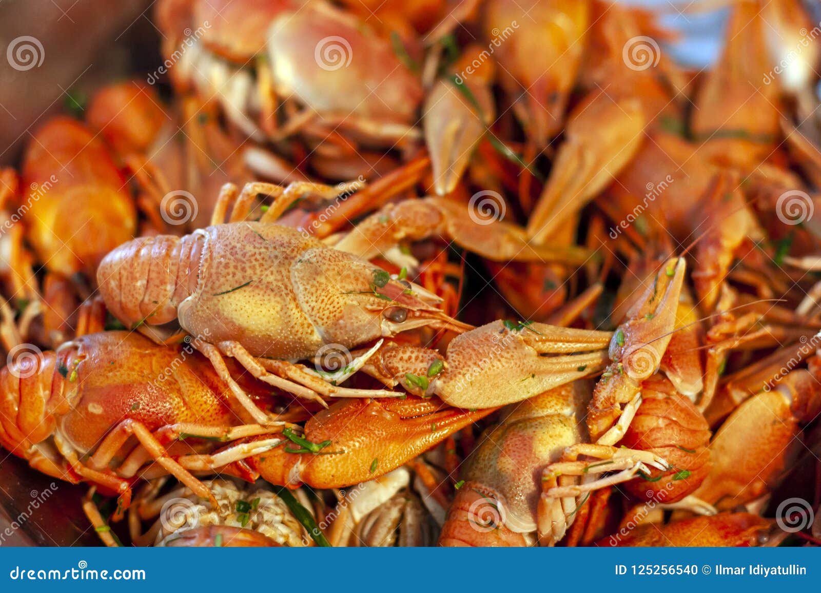 Cooked crawfish, delicacy. stock photo. Image of crustacean - 125256540