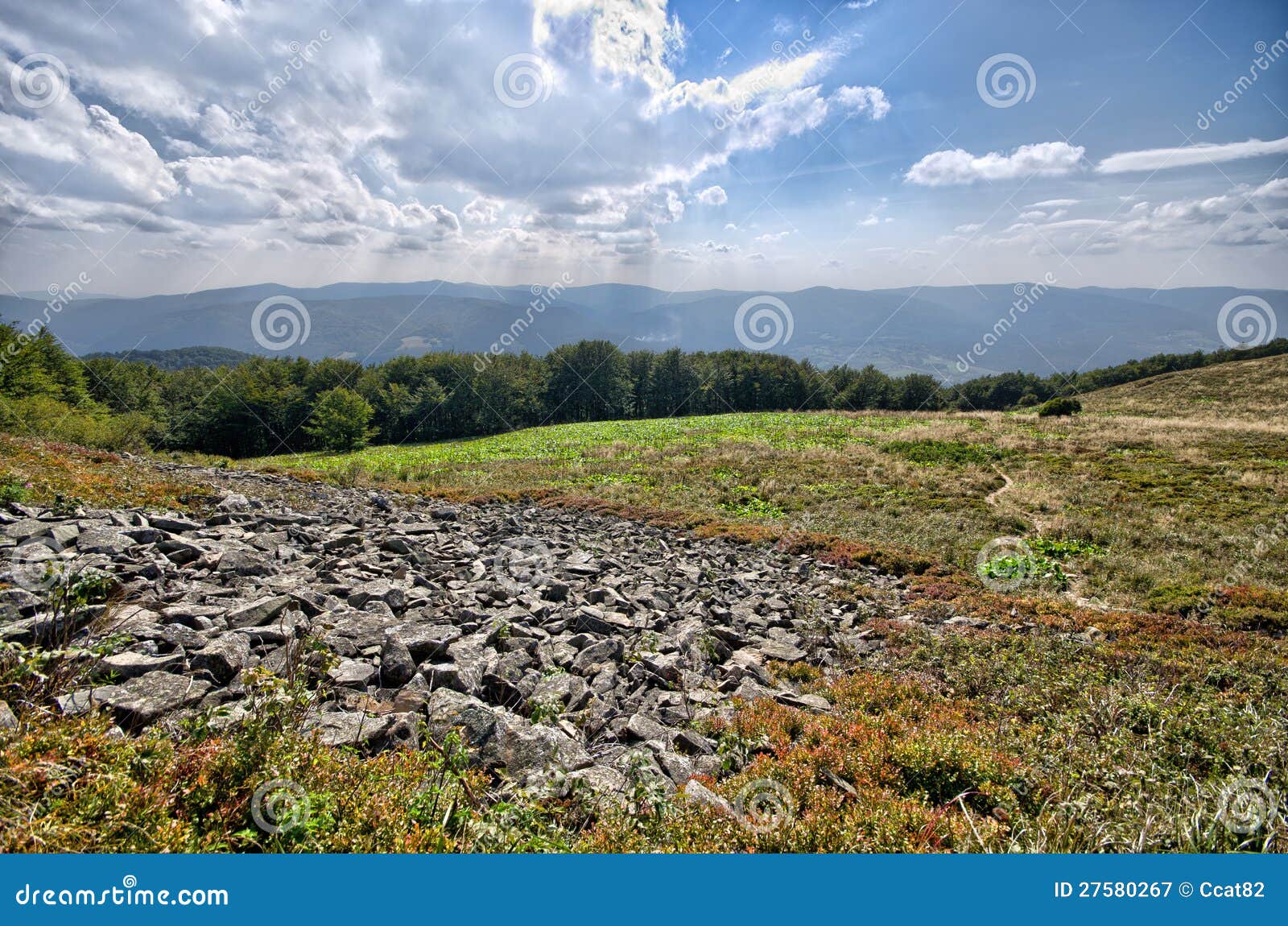 Lot of rocks stock image. Image of hiking, meadow, fall - 27580267