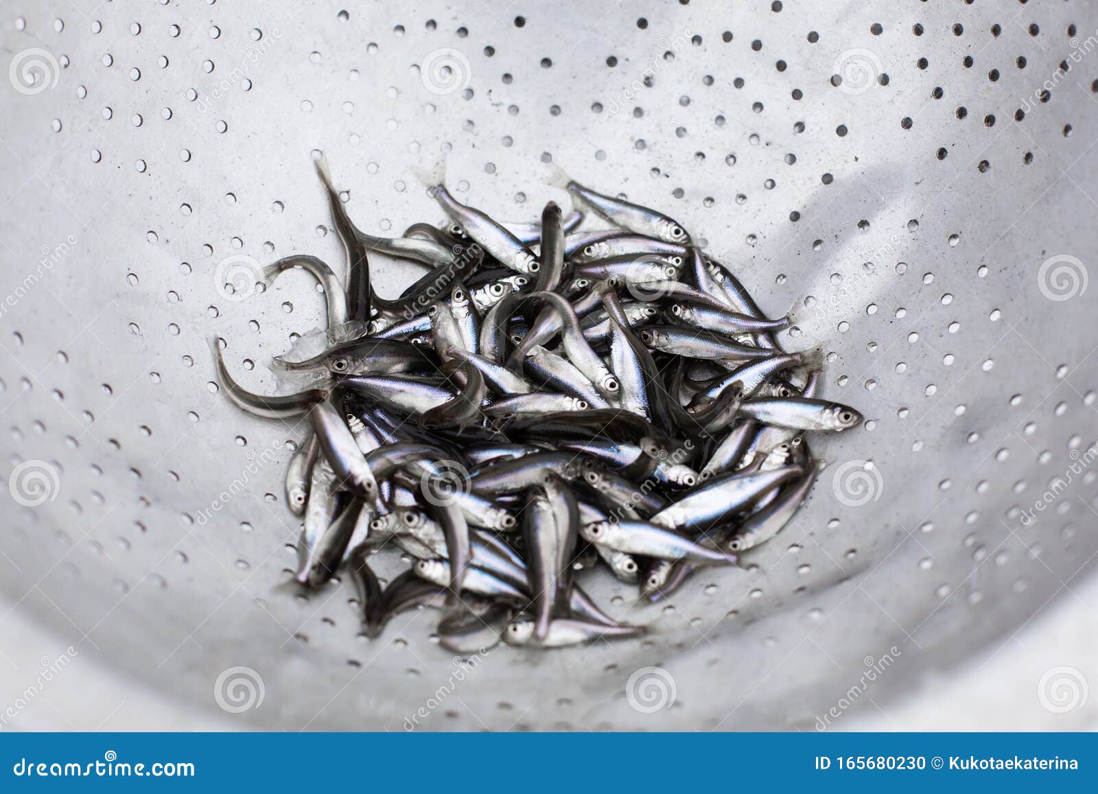 A Lot of Small Fish in a Metal Sieve Stock Photo - Image of fisherman ...