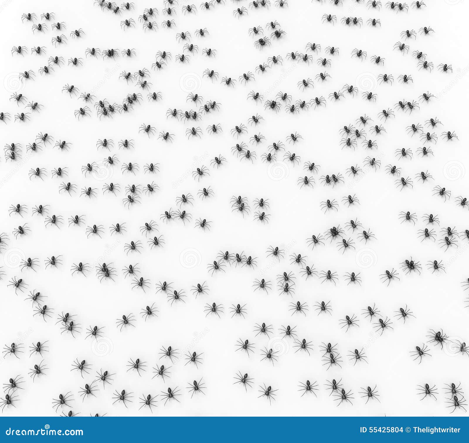 Lot of Spiders Isolated on a White Background Stock Illustration ...