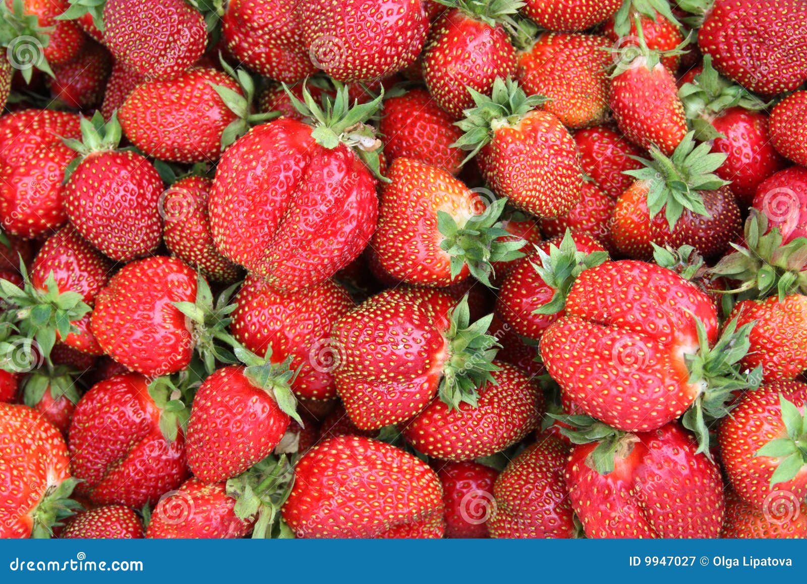 A lot of strawberries stock image. Image of healthcare - 9947027