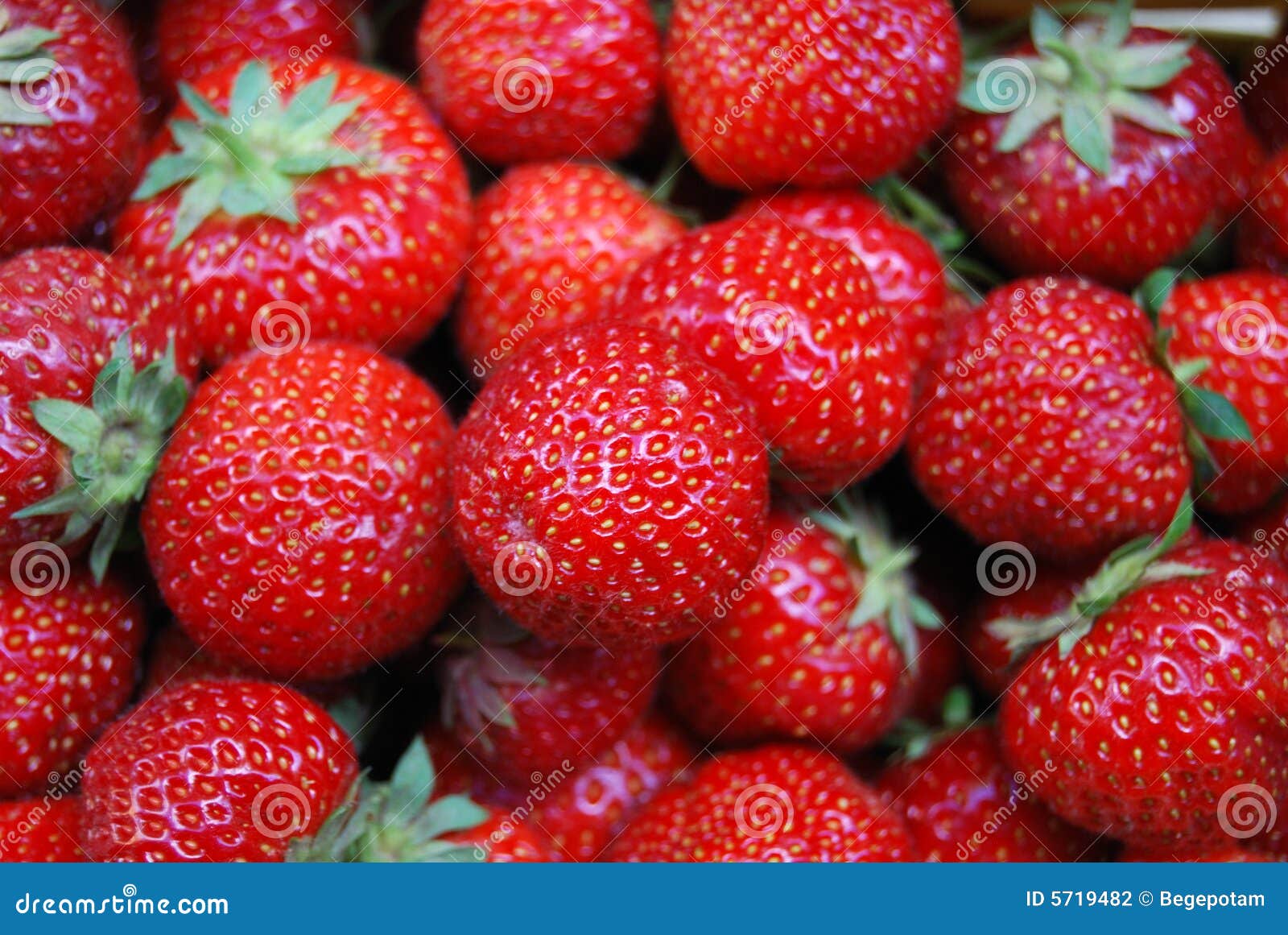 A lot of strawberrys stock photo. Image of abundance, healthcare - 5719482