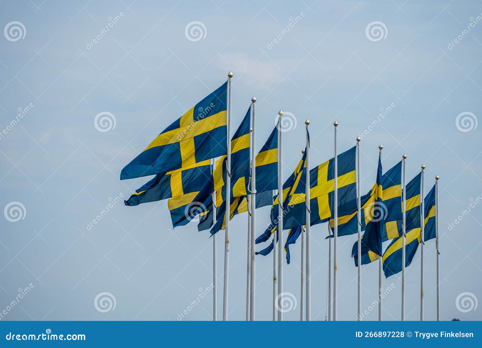A Lot of Swedish Flags Flying from Flag Poles.. Stock Photo - Image of ...