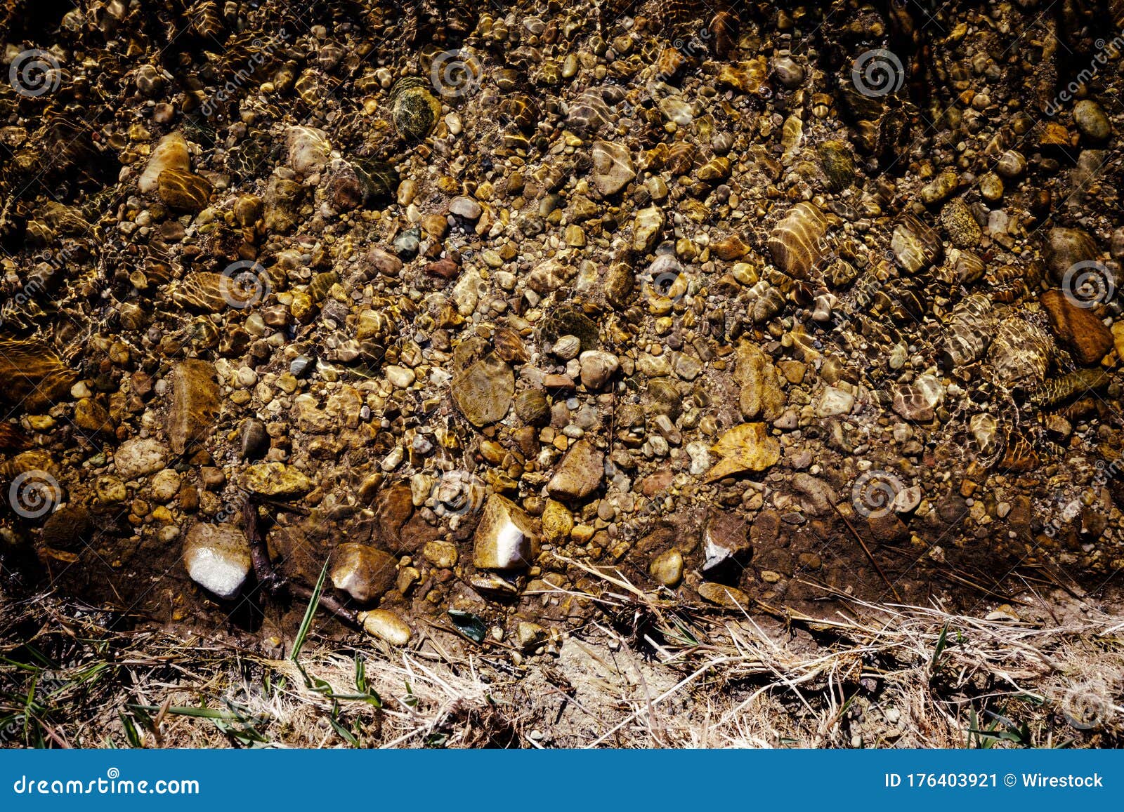 Lot of Tiny Rocks in the River in a Forest Stock Image - Image of ...