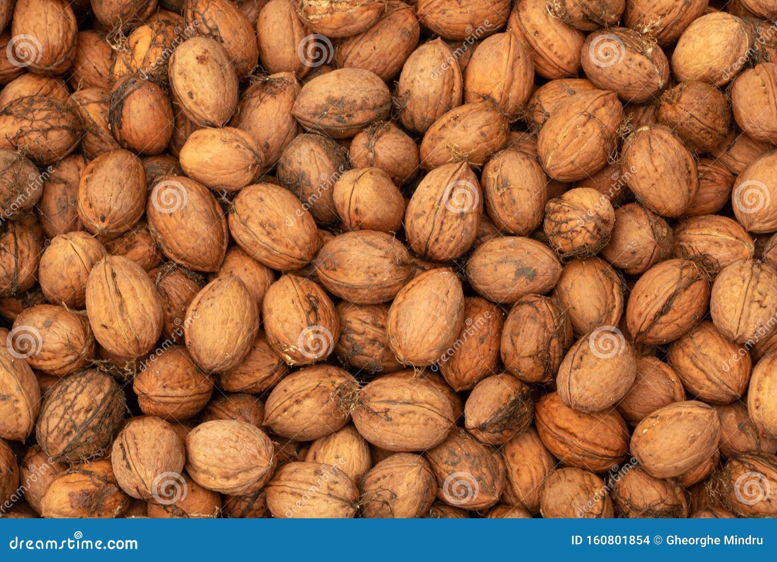 A Lot of Walnuts, Fresh Walnuts Texture Stock Photo - Image of ...