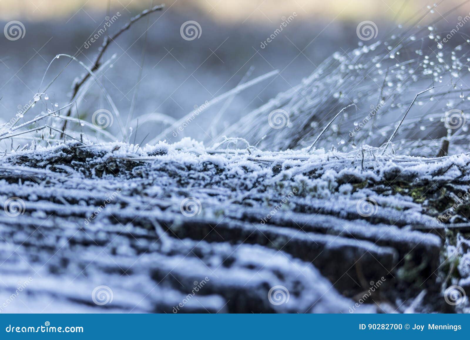 A lot of water drops stock photo. Image of detail, drops - 90282700