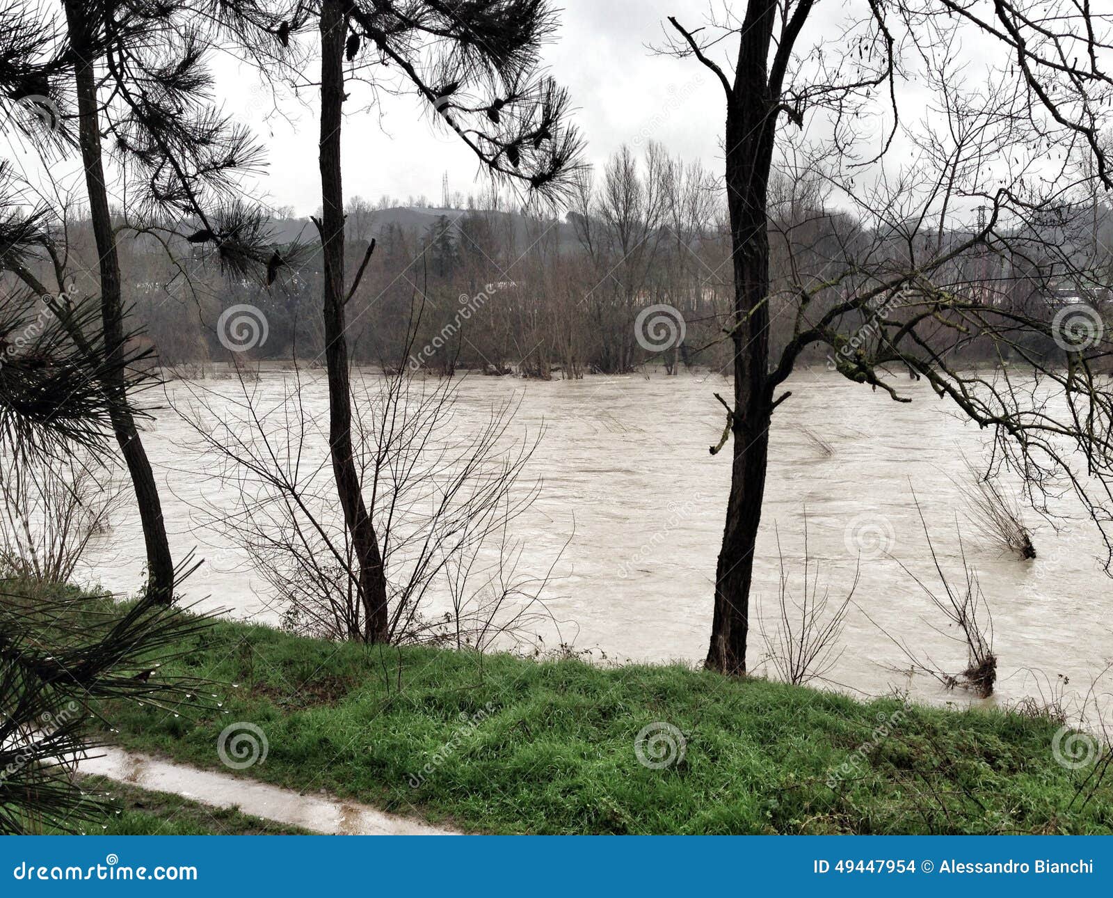 Lot of water stock photo. Image of trees, nature, water - 49447954