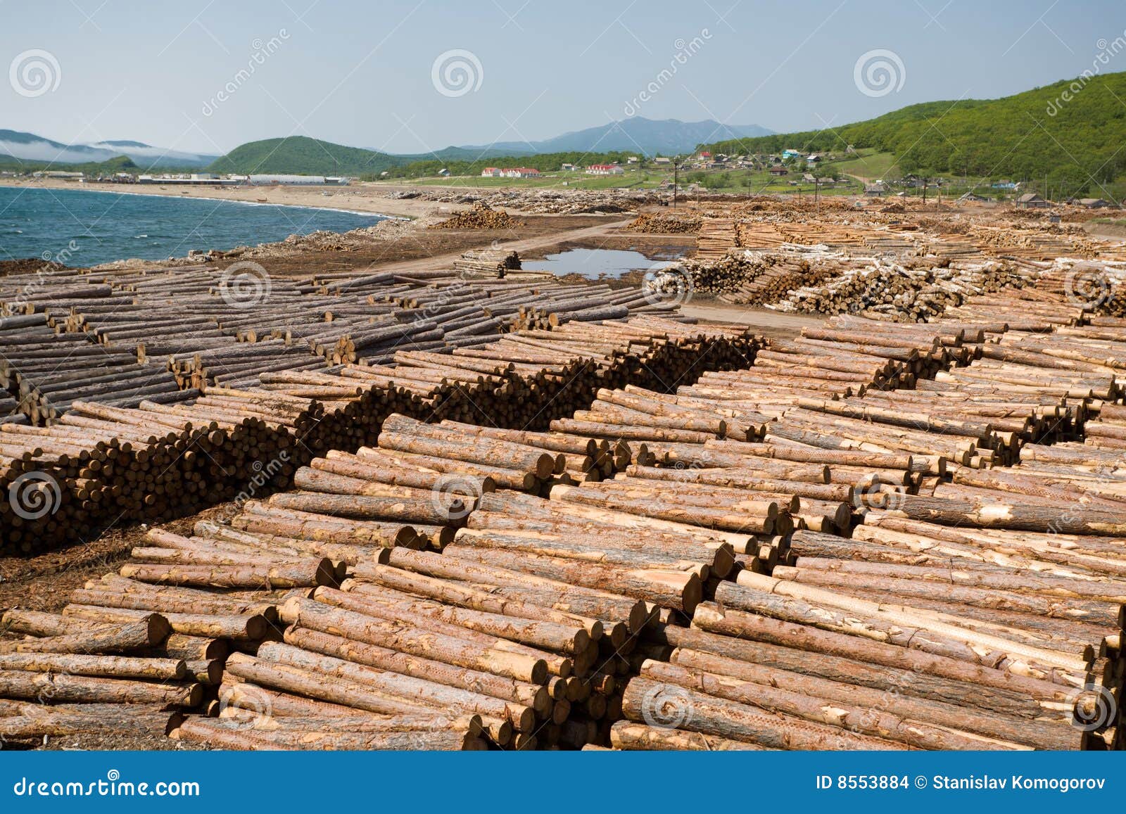 Lot of wood stock photo. Image of industry, brown, circle - 8553884