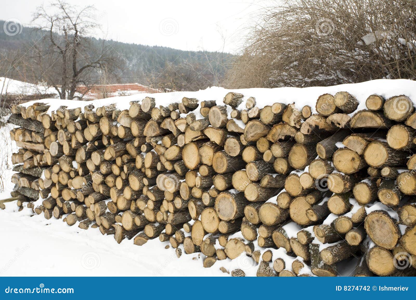 A lot of wood material stock photo. Image of ring, organic - 8274742