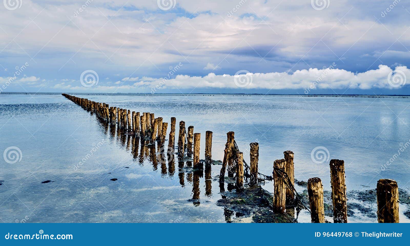 Lot of Wooden Poles Standing in Water Stock Photo - Image of outdoor ...