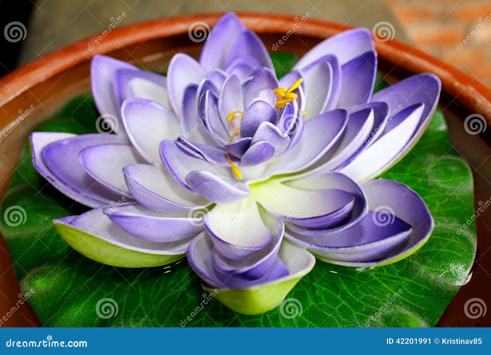 Lotos fotografering för bildbyråer. Bild av krusidull - 42201991