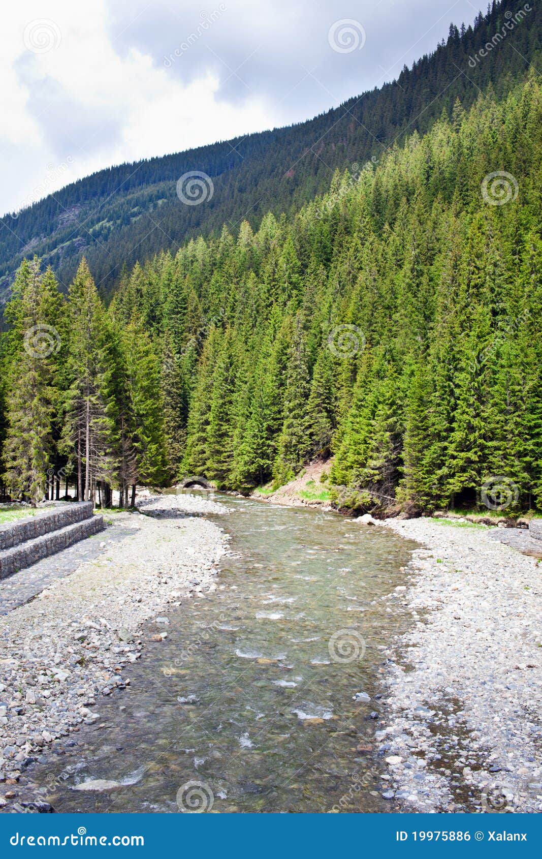 Lotru River Source in Romania Mountains Stock Photo - Image of romania ...