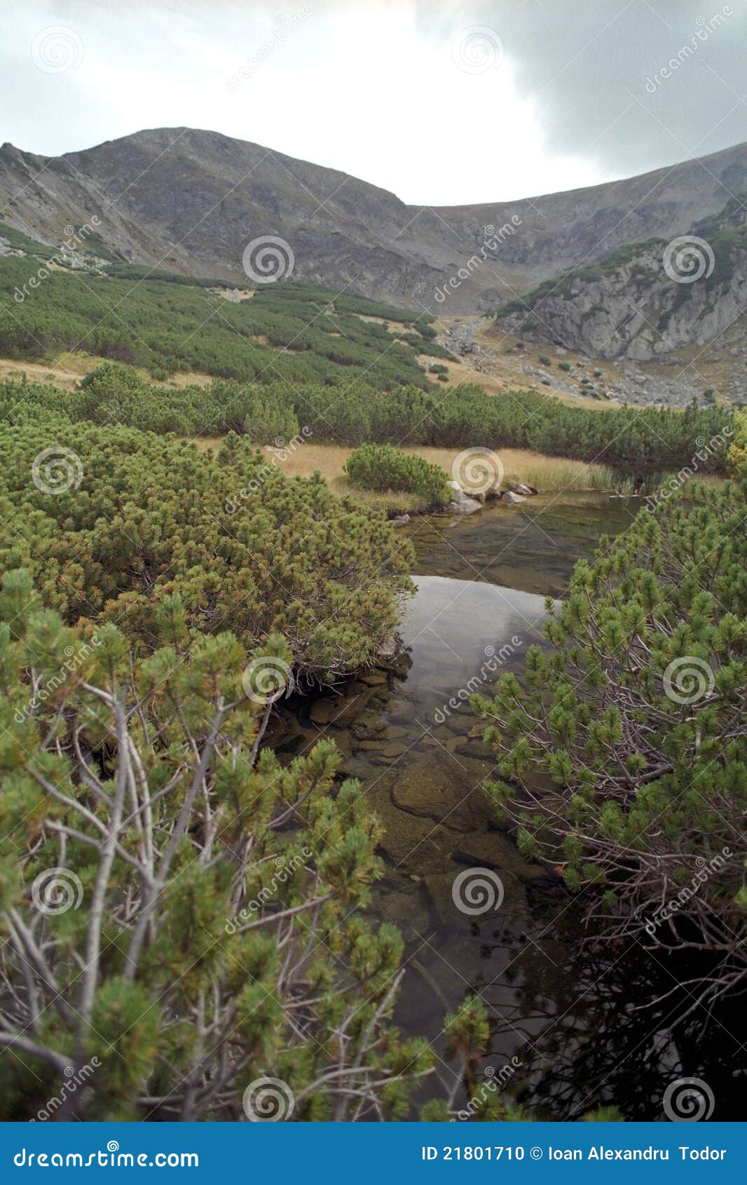Lotru river springs stock photo. Image of lake, high - 21801710